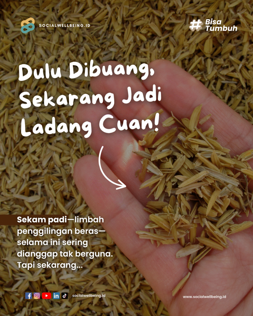 Membuat Baglog Jamur Tiram dari Sekam Padi: Panduan Praktis untuk ...